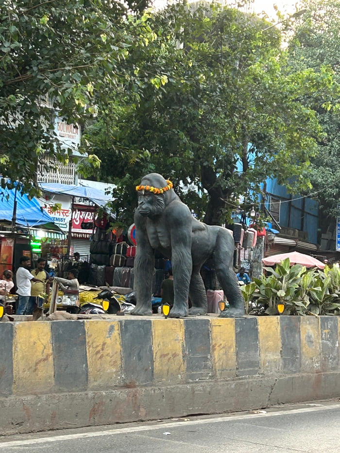 They have a Harambe statue in India - 9GAG