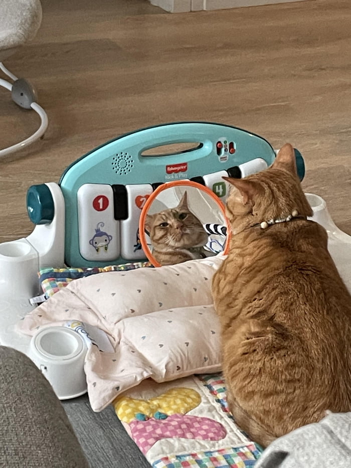 Contemplating life with a new baby around - 9GAG