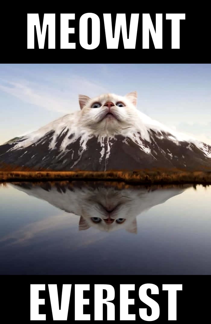 Meme Academy - Lesson 1: Make a meme from any photo - 9GAG