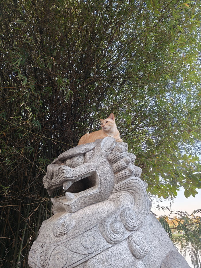 Handsome boy on a stone - 9GAG