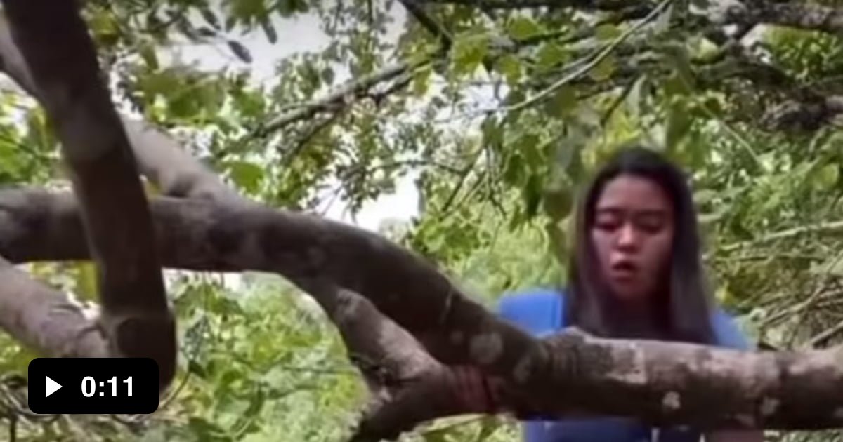 Tree Milkshake - 9GAG