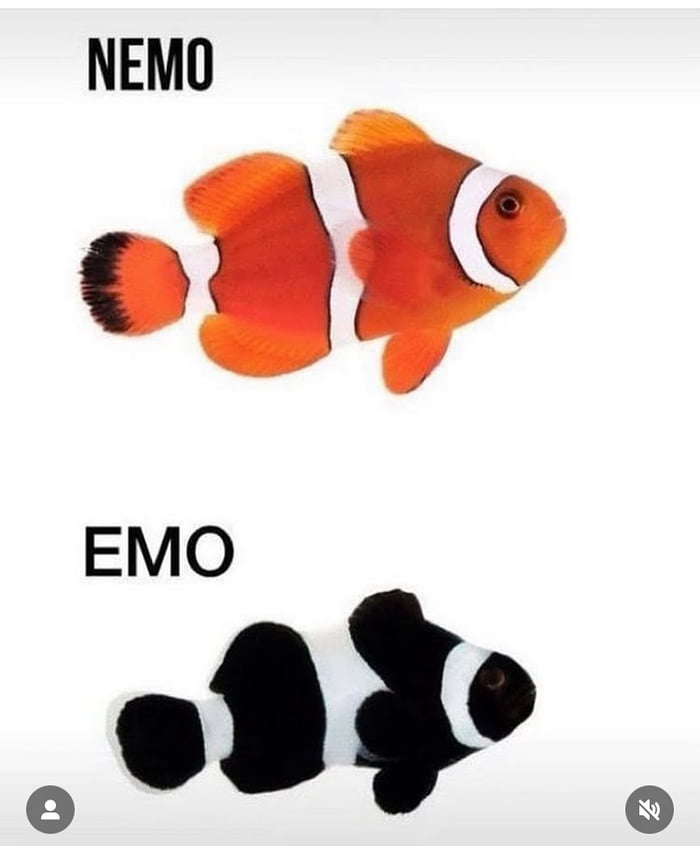 Finding emo - 9GAG