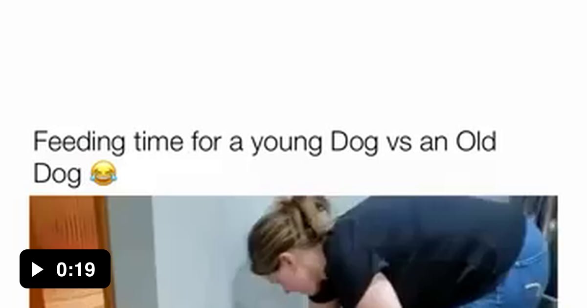 Buddy couldn't hold it in 😂 - - pawesomeplanet0 - 9GAG