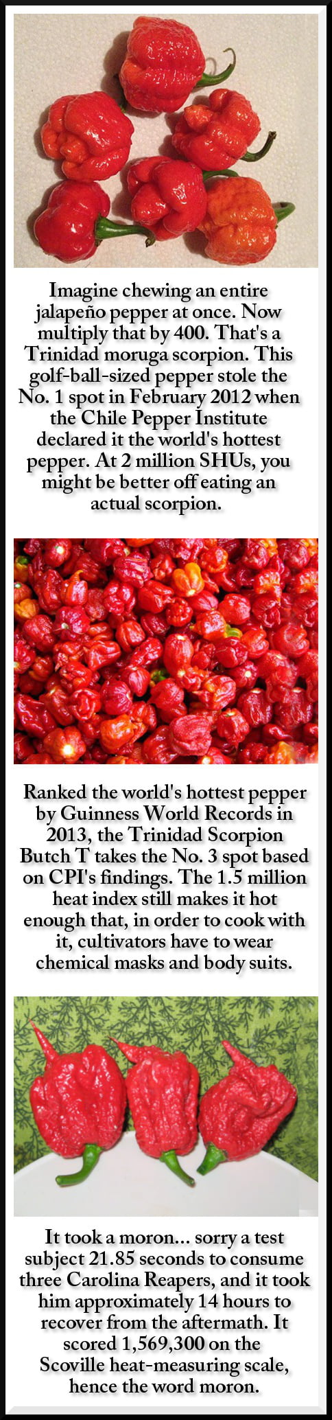 The terrifying world of peppers. (OC) - 9GAG