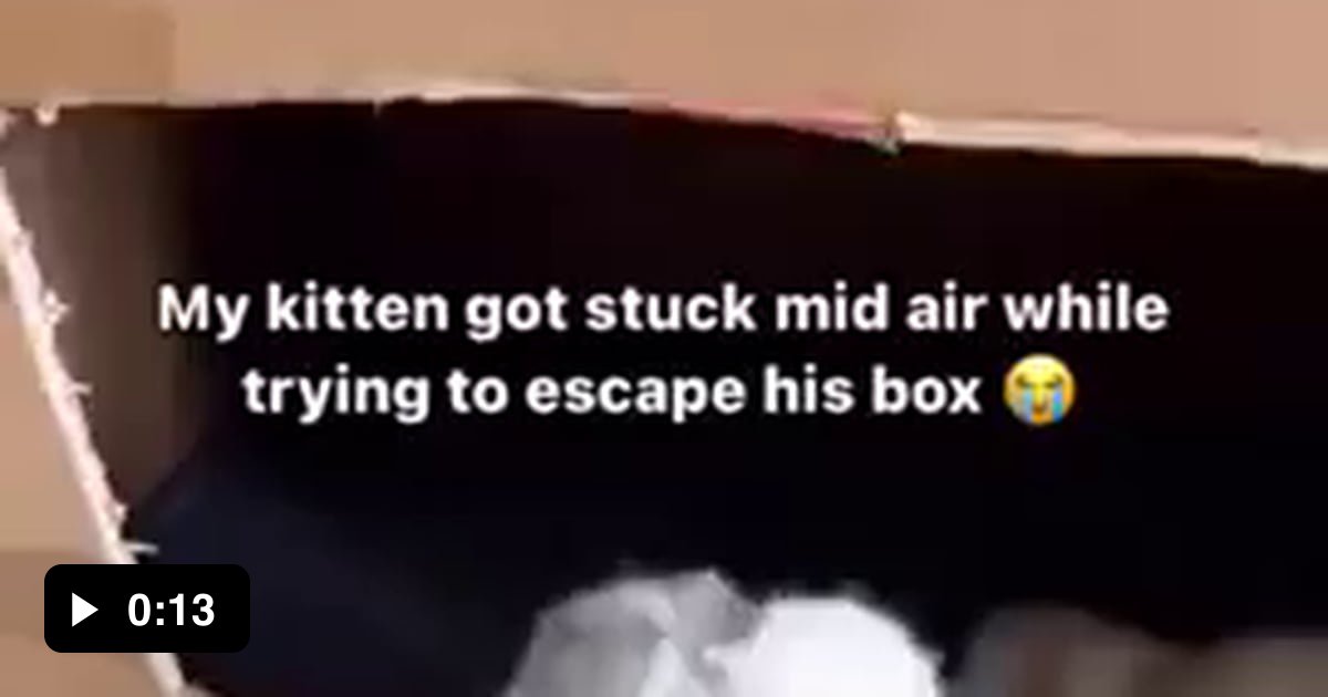 Stuck in mid air - 9GAG