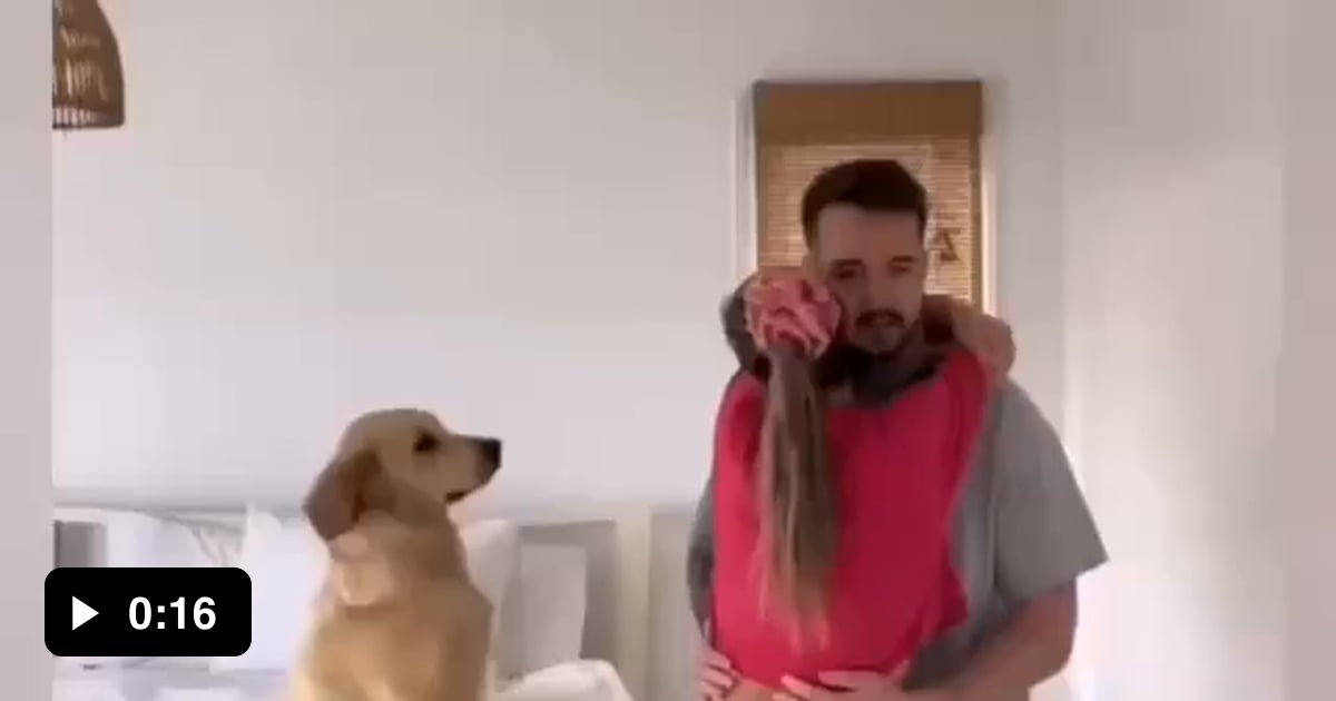 You me and doggo - 9GAG