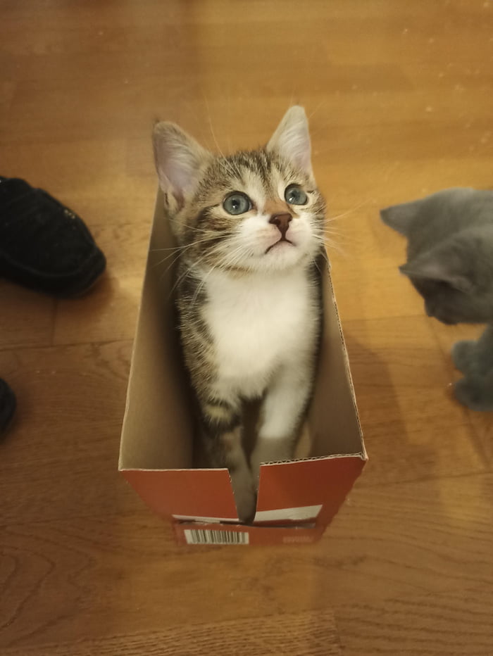 It's in the box - 9GAG