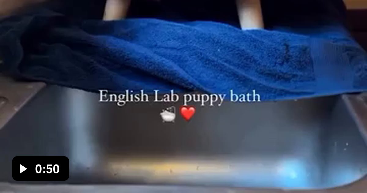 Time for bath - 9GAG