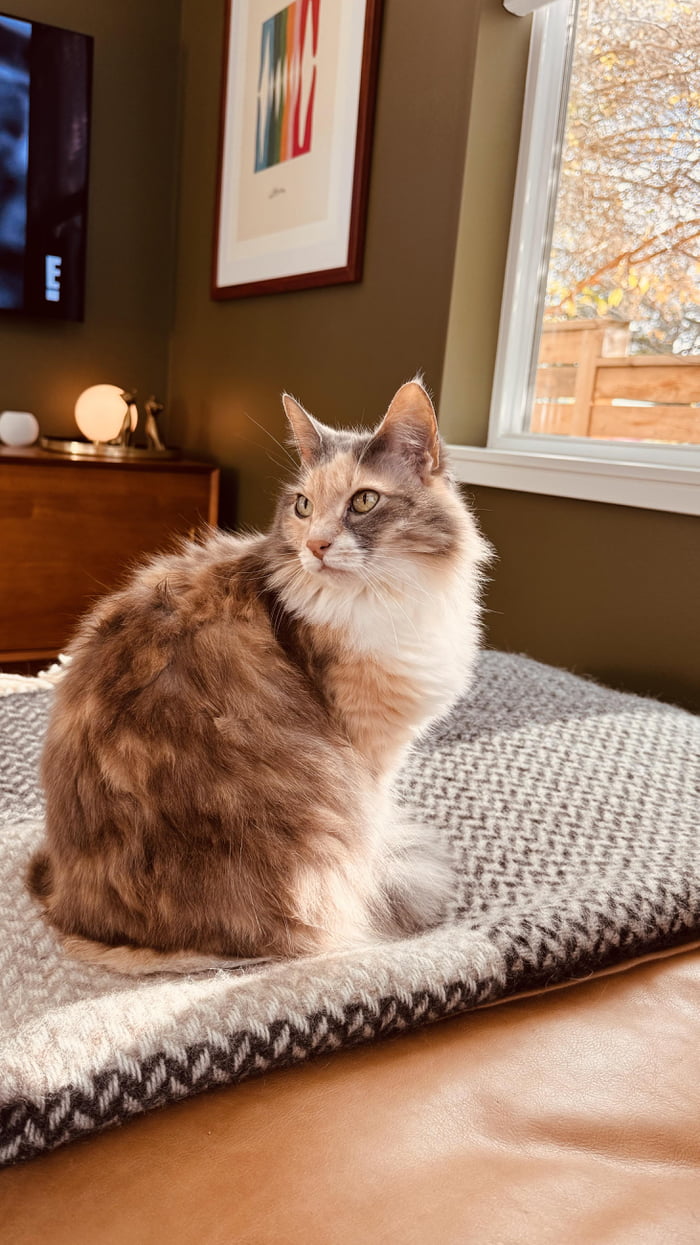 Shout out to my best lil bud - 9GAG