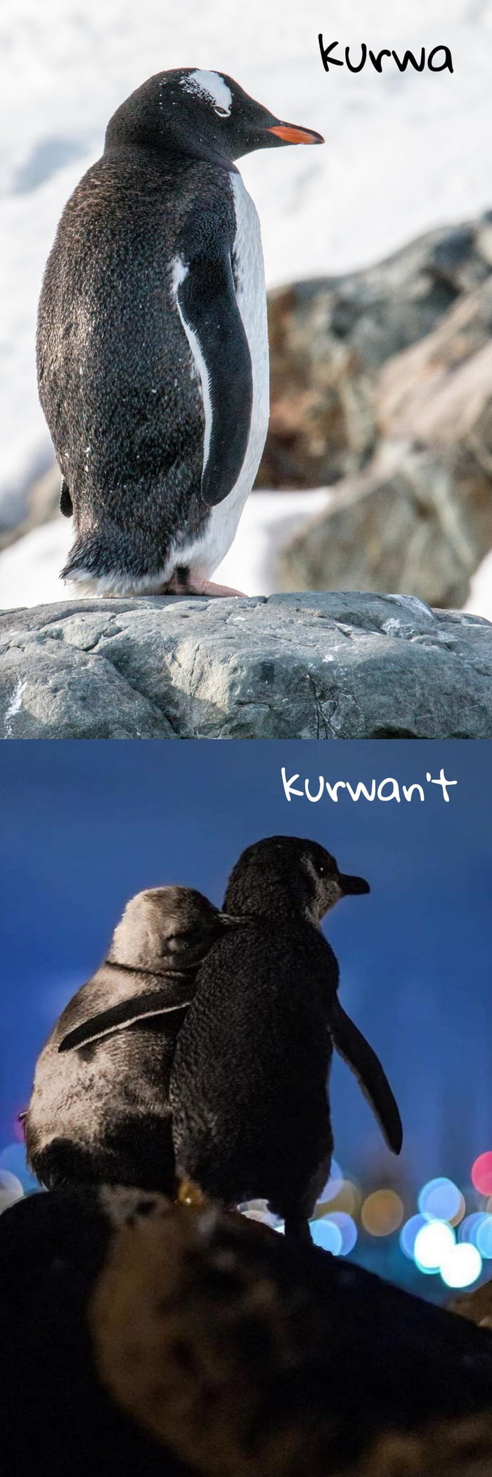 It is what it is - 9GAG