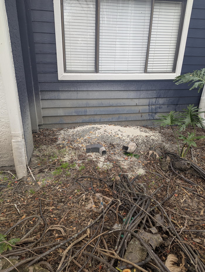 Upstairs neighbor has been dumping their cat litter and trash out of ...