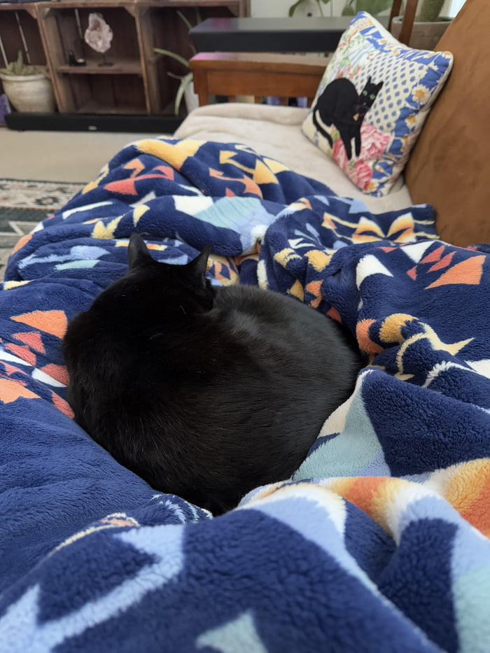 Name a better feeling than this - 9GAG