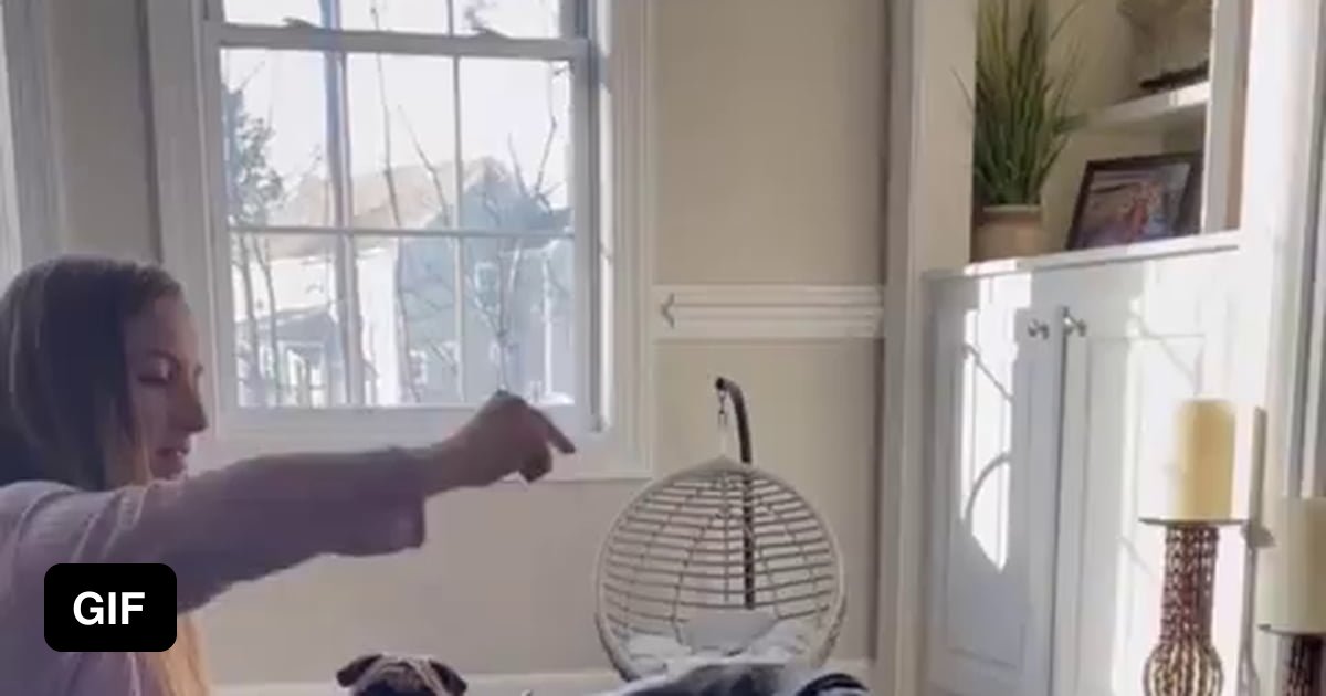 Showing off tricks - 9GAG