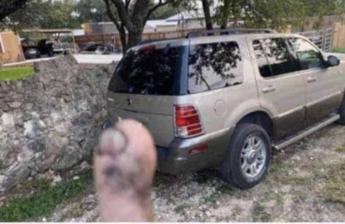 From a local “for sale” group. No idea what appendage is blocking the ...