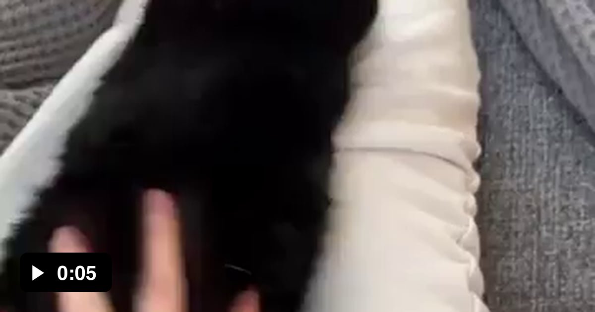 Look at those paws - 9GAG