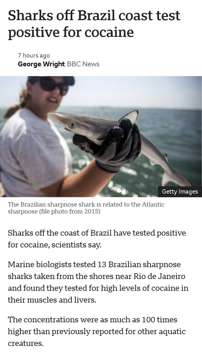 Who would have thought? - 9GAG