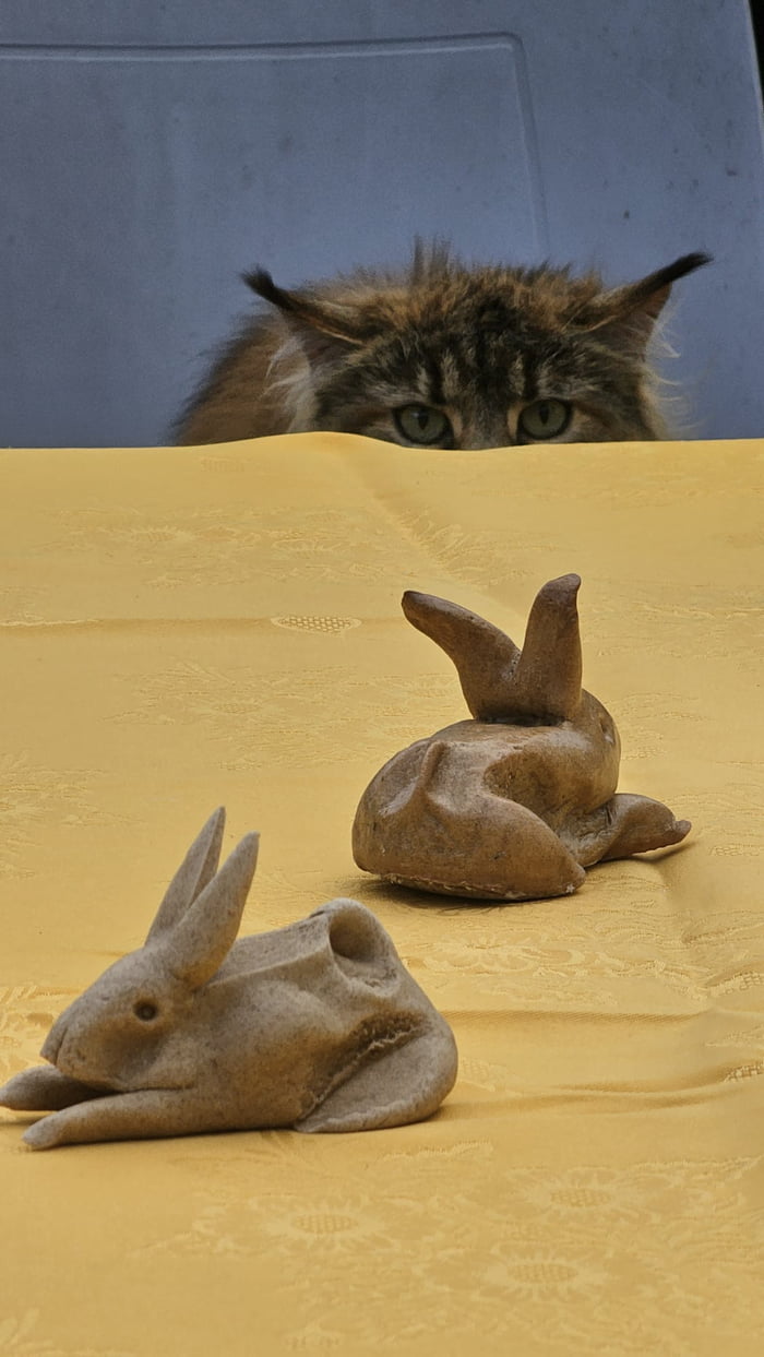 Happy Easter! - 9GAG