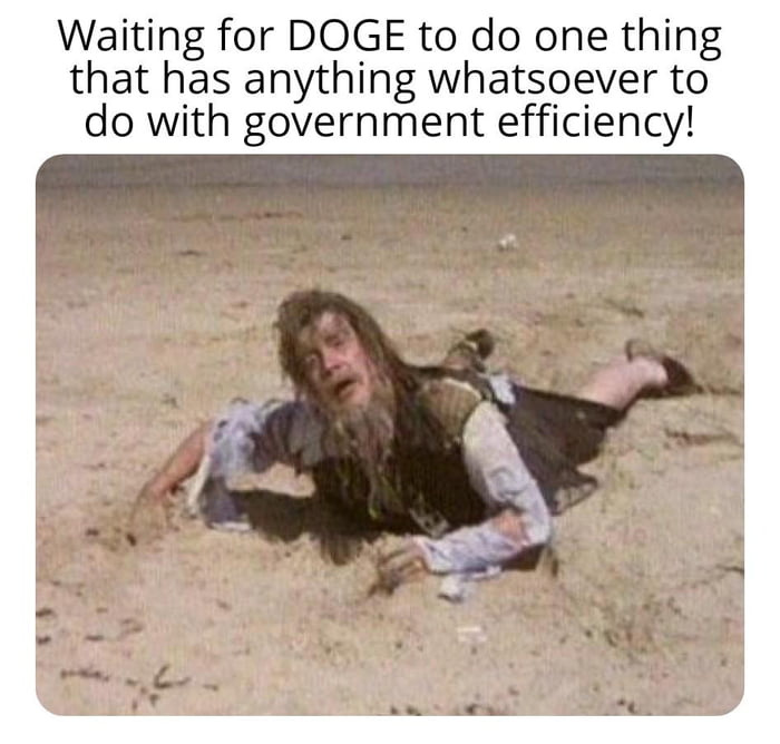 Did you really think Trump and Musk ever cared about efficiency? - 9GAG
