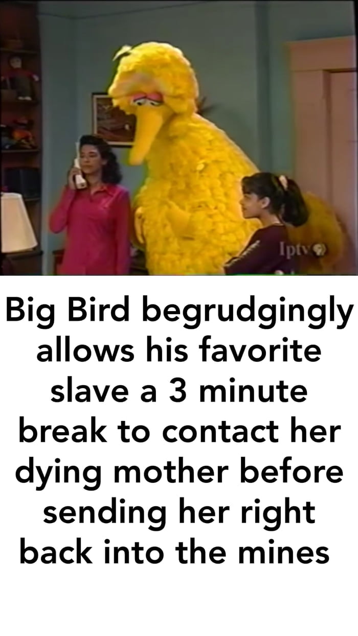 Bert & Ernie #11 - 9GAG