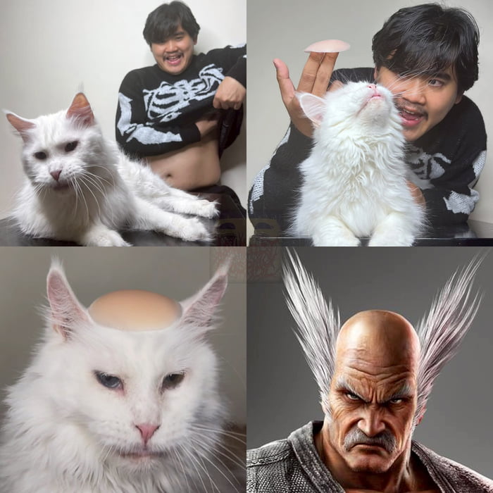 Sir do not the cat! - 9GAG