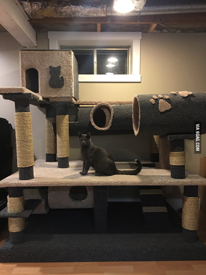 Rate my cat's setup ( build it myself ) - 9GAG