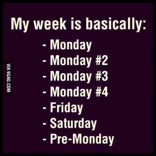 Sums up my whole week - 9GAG