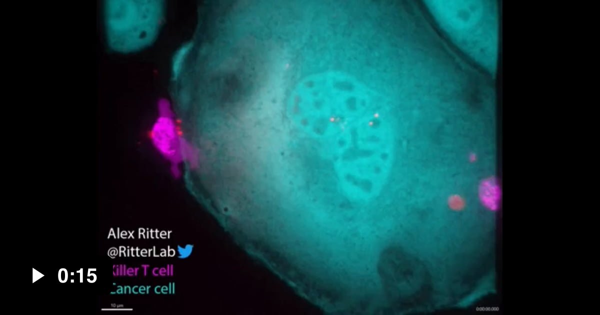 One Punch Cell - 9GAG