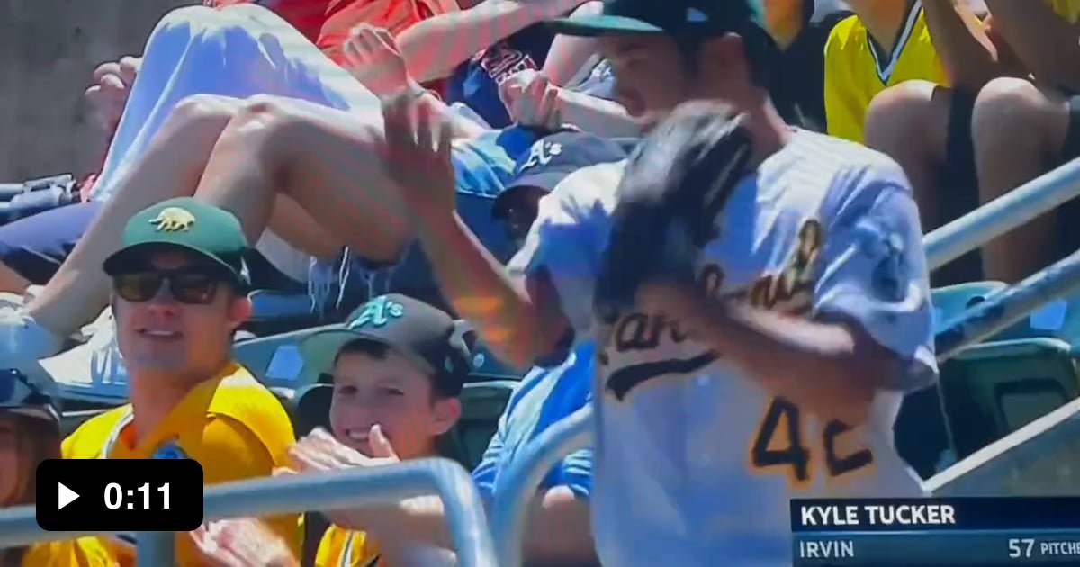 A ONCE spotted in the wild. Lol. Video from @tuktock on Twitter - 9GAG