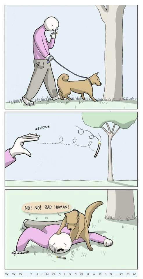 Bad human - 9GAG