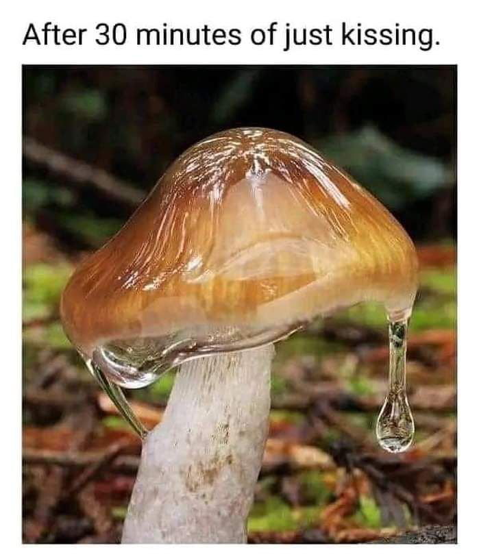 Honey 9gag