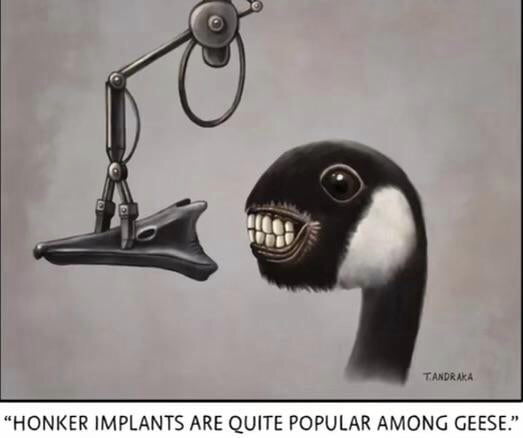 My kind of honkers - 9GAG