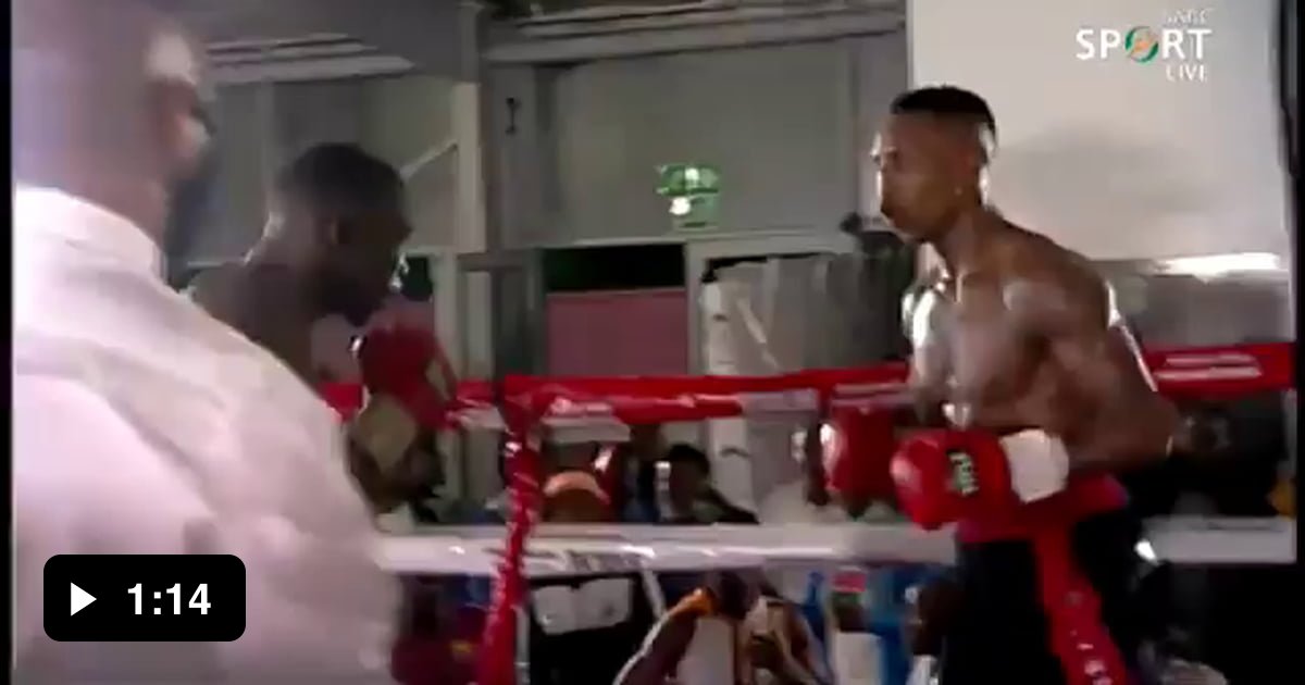 Boxer fighting ghosts - 9GAG