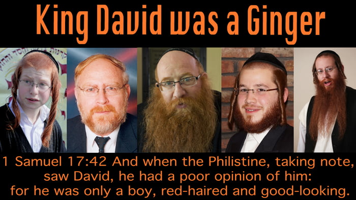 King David was a Ginger and red bearded folks are Emperor David's ...