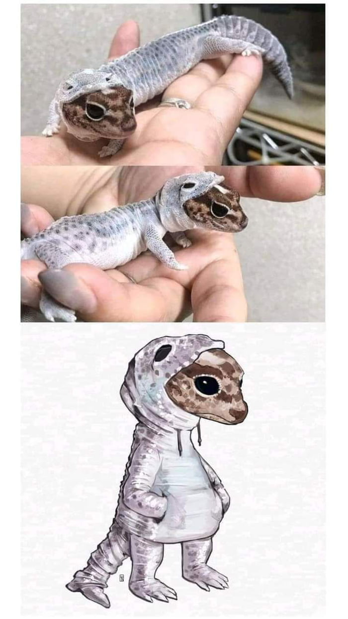 Lacoste Lacoste... - 9GAG