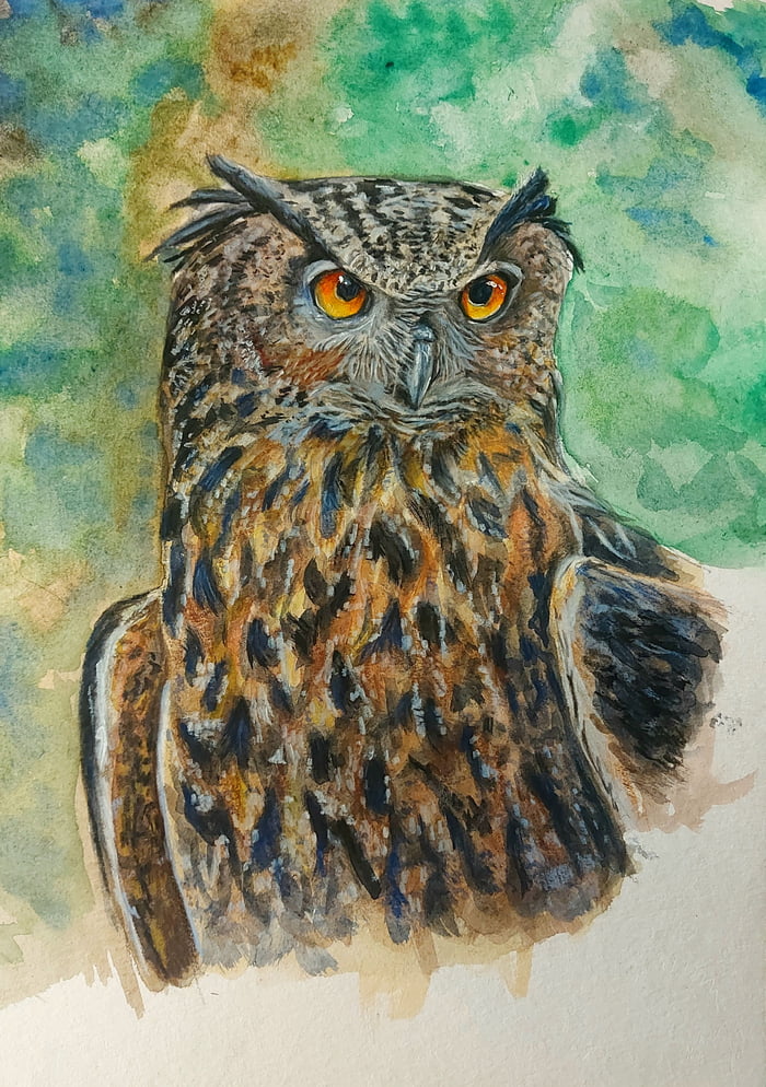 A pissed off owl. Watercolor and colored pencil, A4. Hope u like it ...