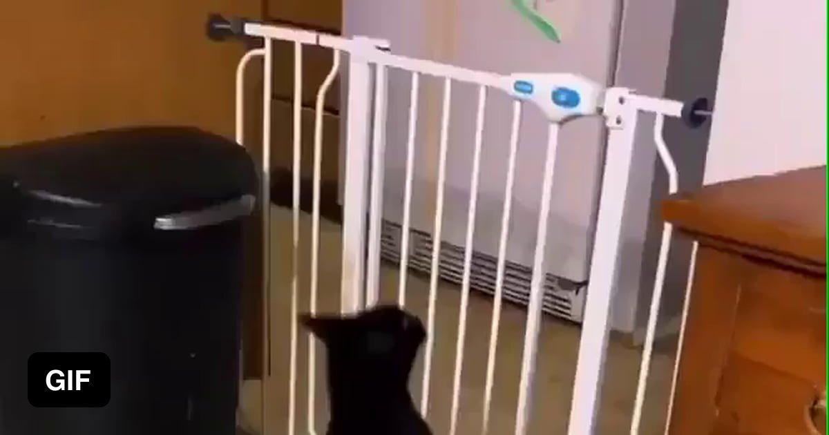 Careful planning leads to perfect execution - 9GAG