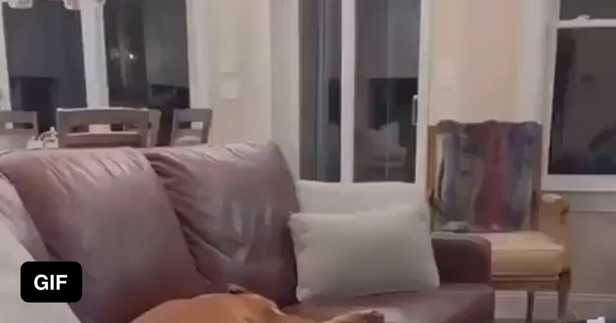 Classic shenanigans - 9GAG