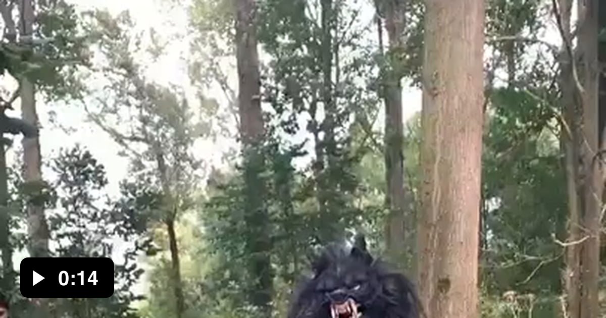 Insanely detailed werewolf costume (By Willow Creative) - 9GAG