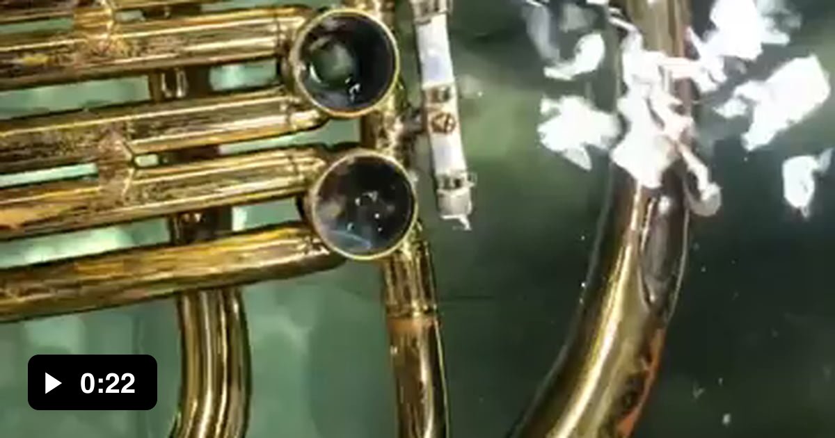 French Horn Cleaning - 9GAG