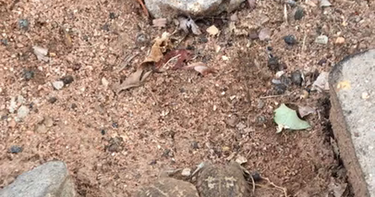 Spawn trapping - 9GAG