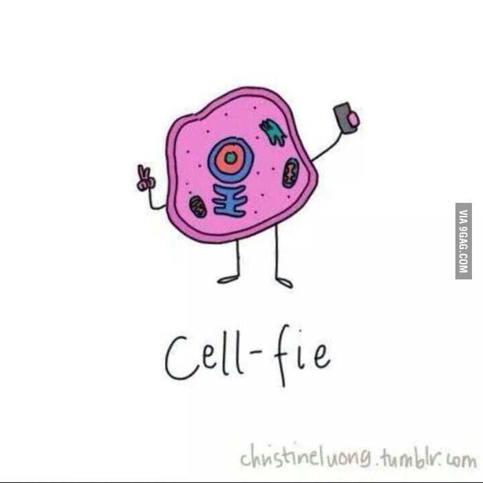 But first, let me take a #CELL-fie. - 9GAG