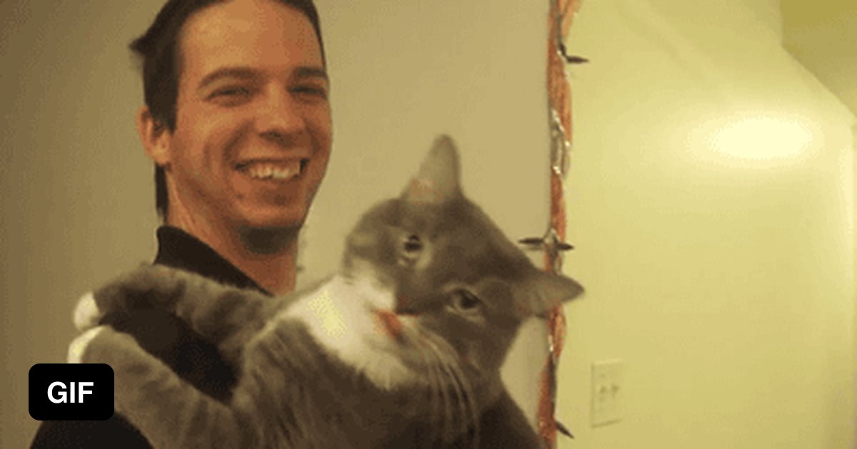 Catnip. Not even once. - 9GAG