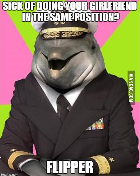 Introducing...... Bad Sex Joke Dolphin - 9GAG