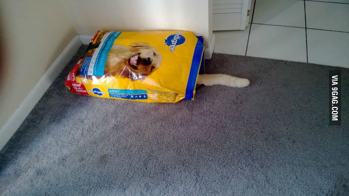 Confused much? - 9GAG