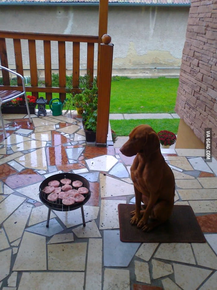 Self control level over 9000 - 9GAG