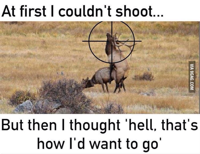 Just pull the trigger! - 9GAG