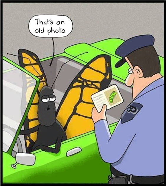 Getting pulled over. - 9GAG