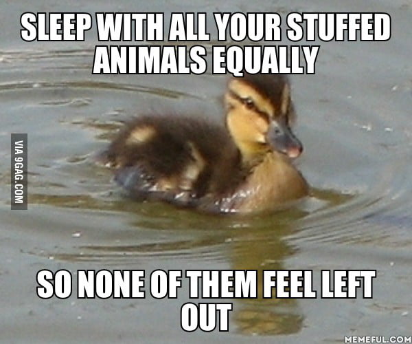 Almost advice mallard - 9GAG Almost advice mallard - 9GAG