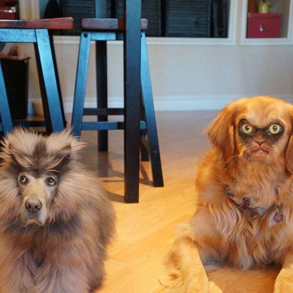 Worst face swap creates monsters - 9GAG