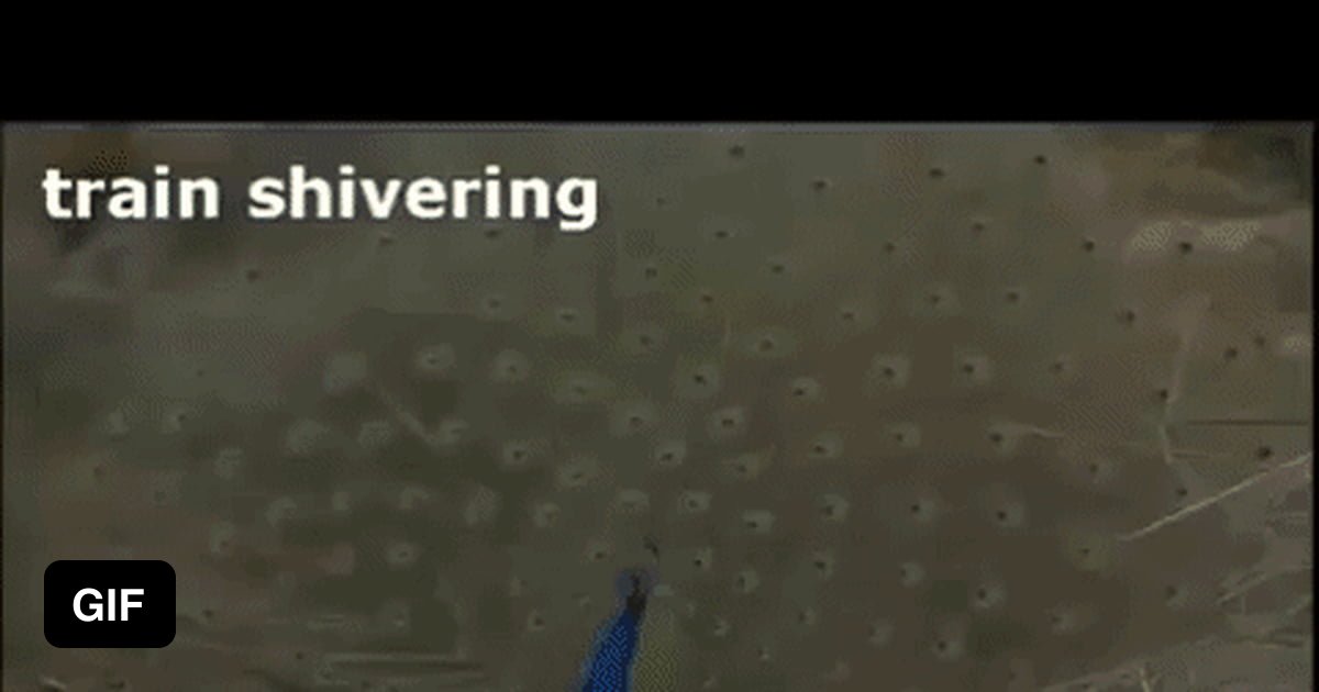 Potato quality GIF of Peacock "train shivering" display in 10x slow ...